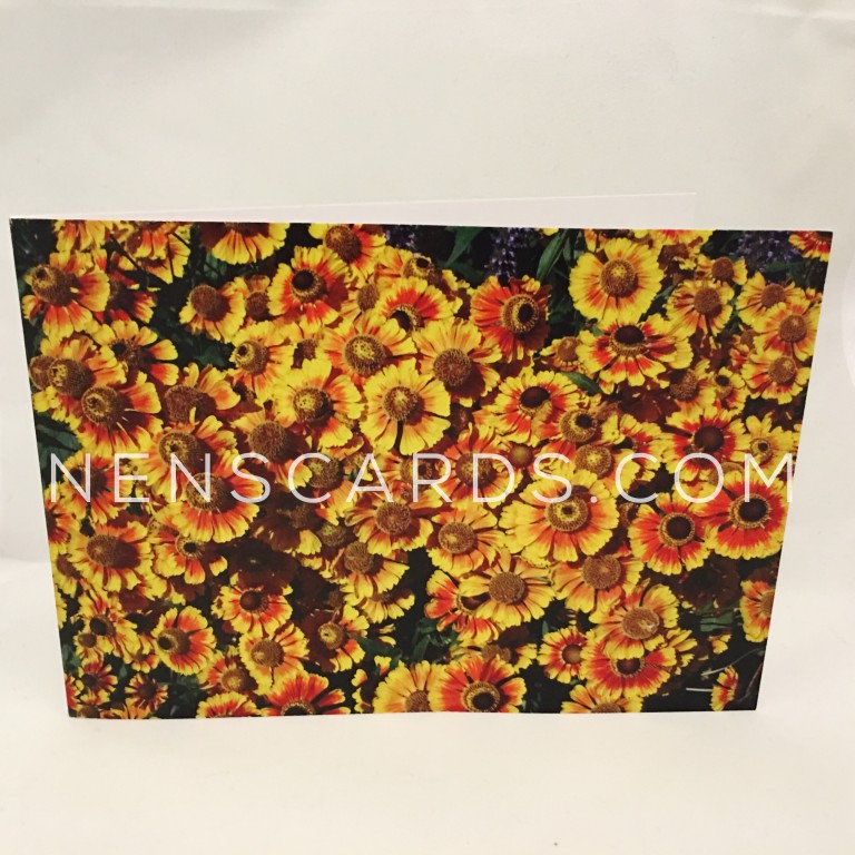Yellow Flowers A6 card - NENSCARDS.COM